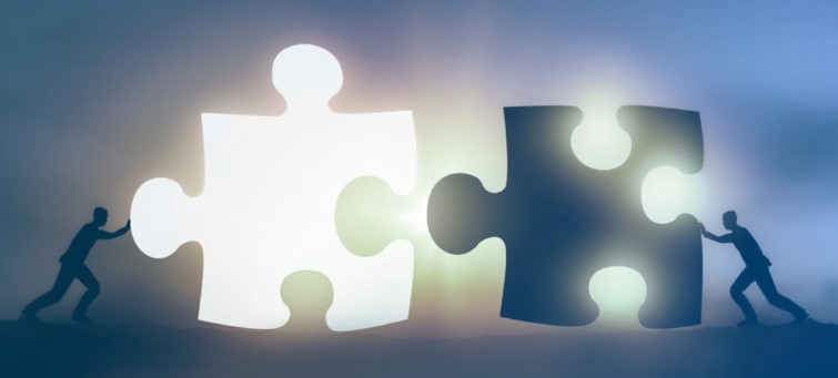 The CEO-CFO Relationship for Business Success | Kingsley Gate The CEO-CFO Relationship for Business Success | Kingsley Gate